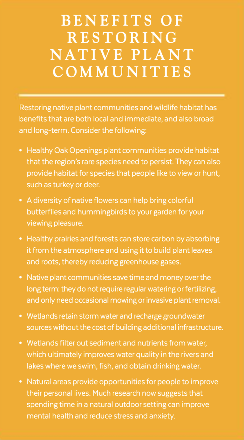 Protecting Natural Ecosystems with Your Home Garden